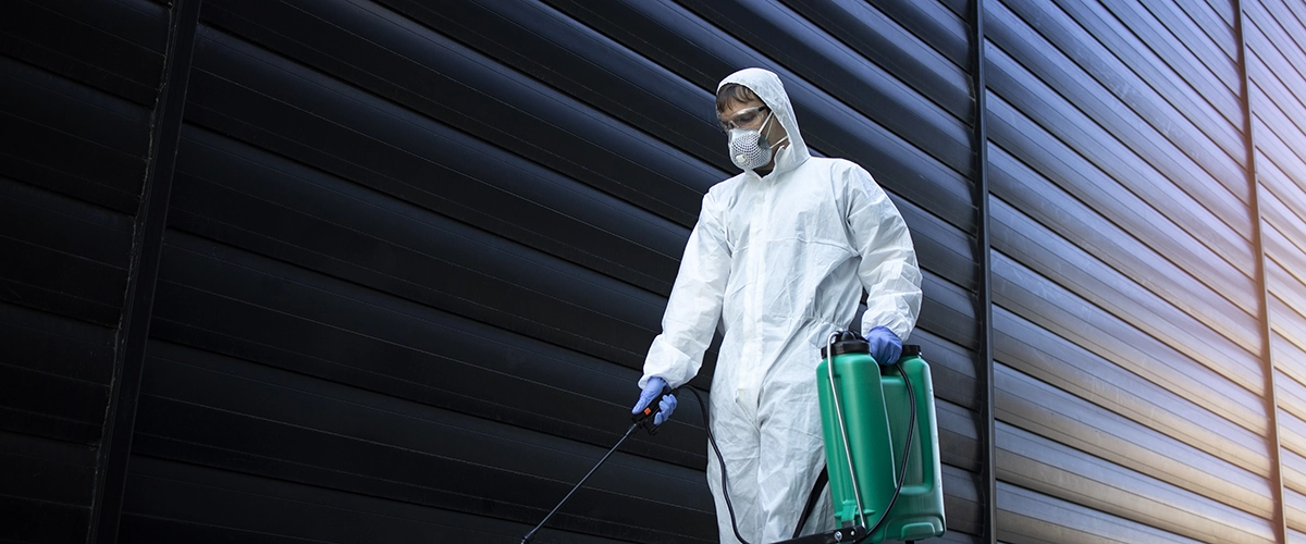 Need Local Pest Control? Think Emergency Exterminators